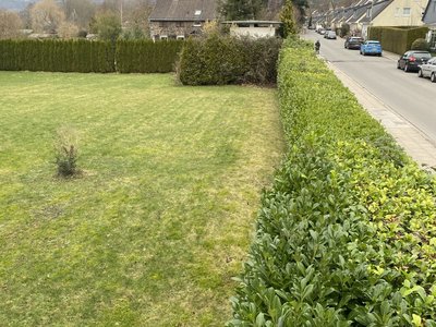 Hochzeitslocation in Essen - Bauer Kammesheidt - Festscheune